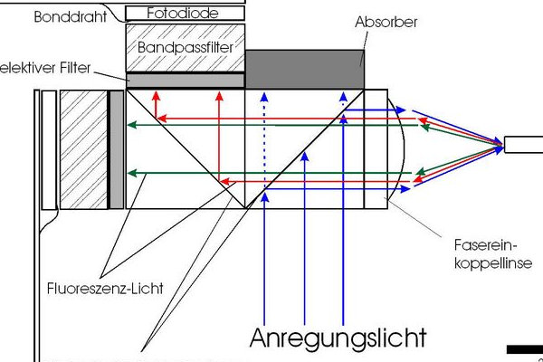 Sensitive Fluorescence Sensors